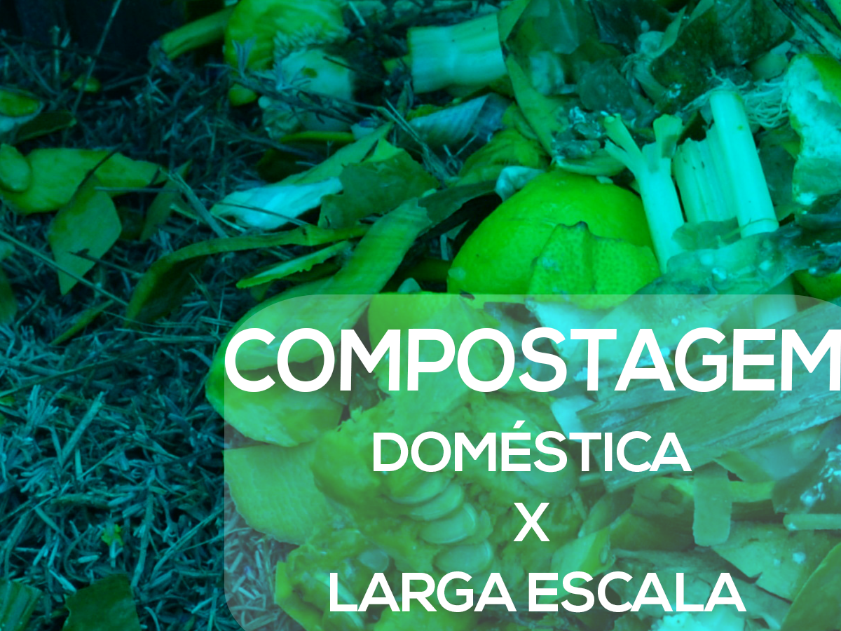 Tipos de compostagem: qual é a melhor para você? - EMAS Jr.